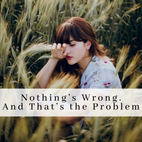 Nothing’s Wrong. And That’s the Problem - Stacey Robbins